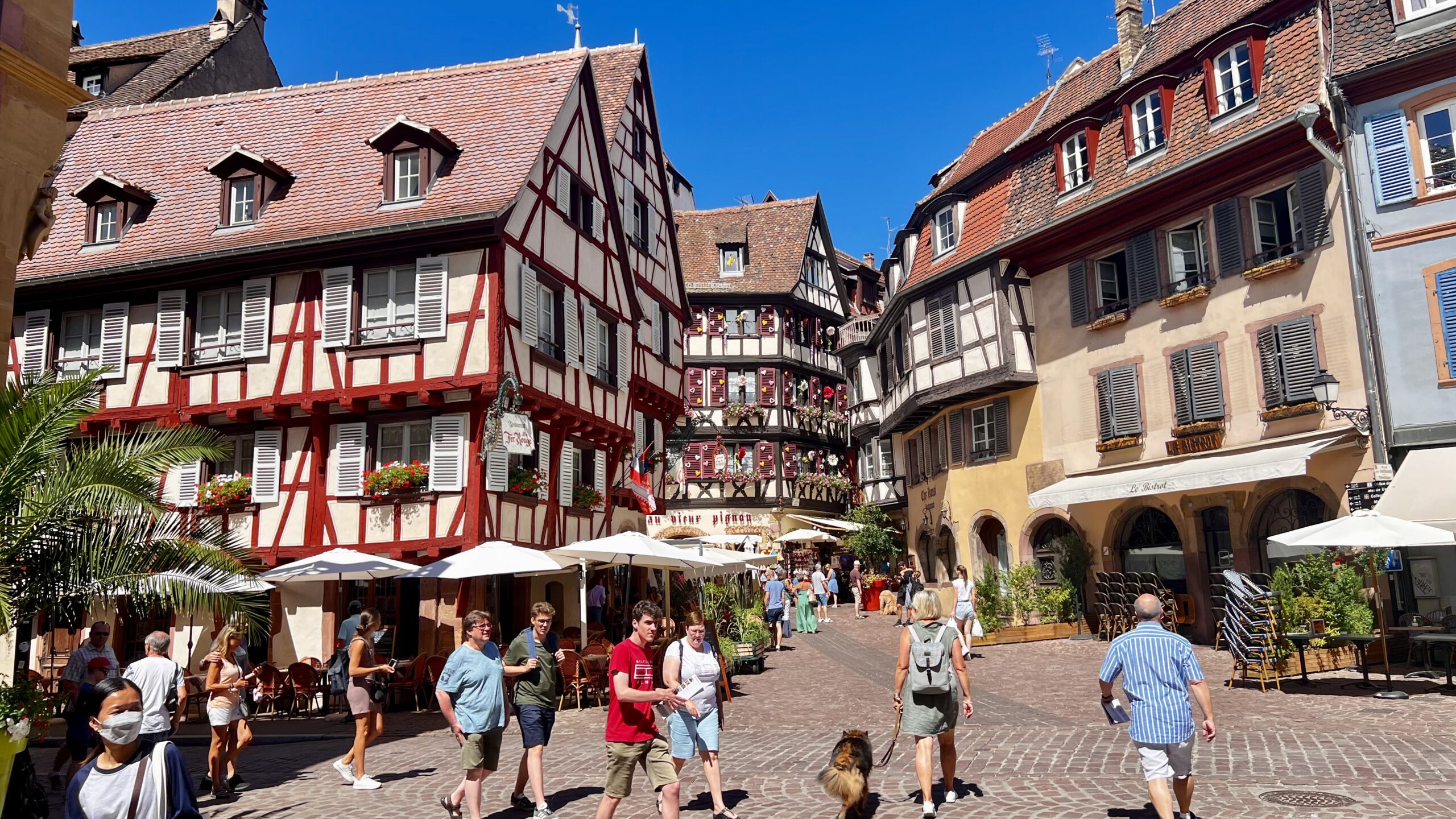 Colmar et ses maisons à colombages - Va voir là-bas