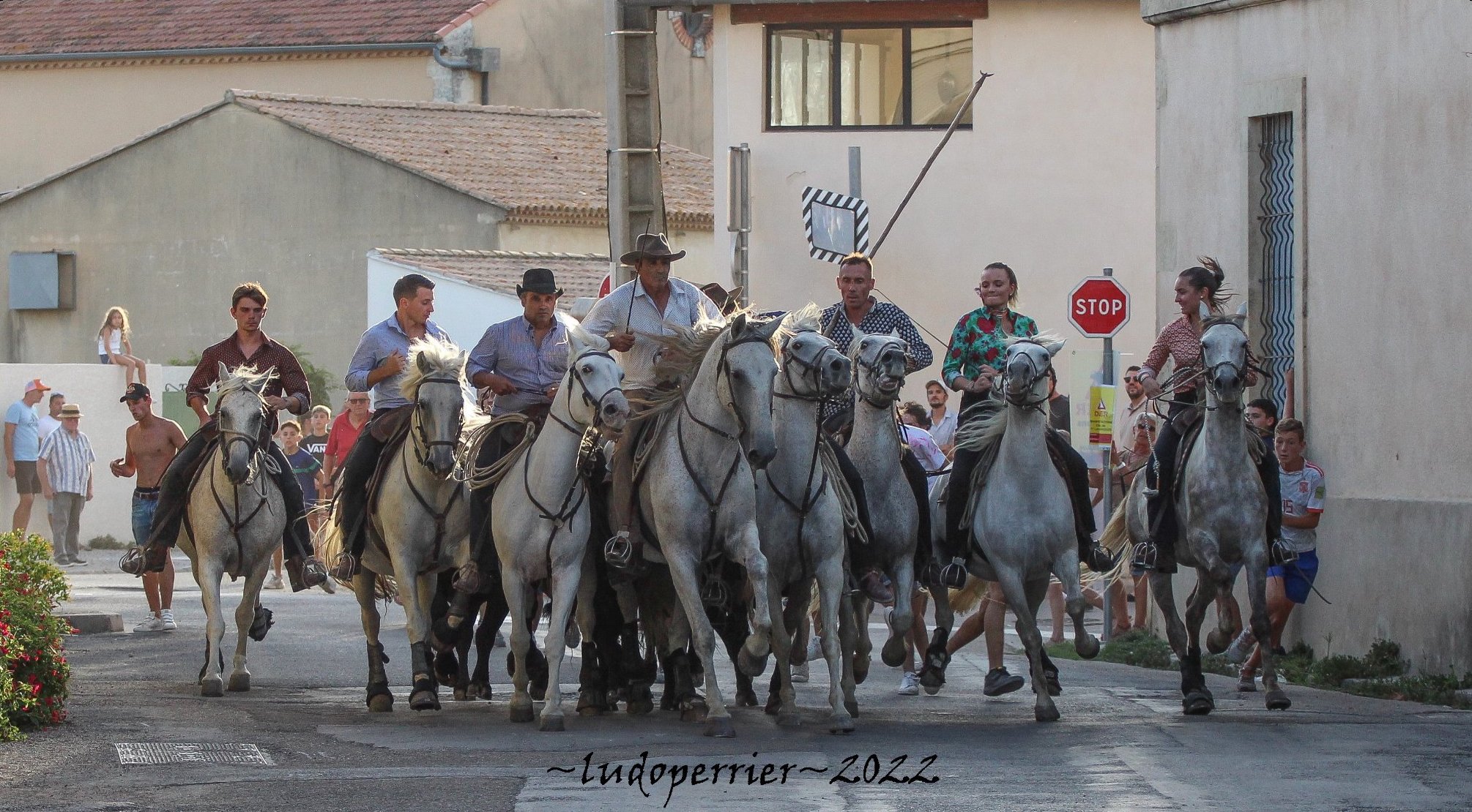 La fête votive en Camargue - Va voir là-bas